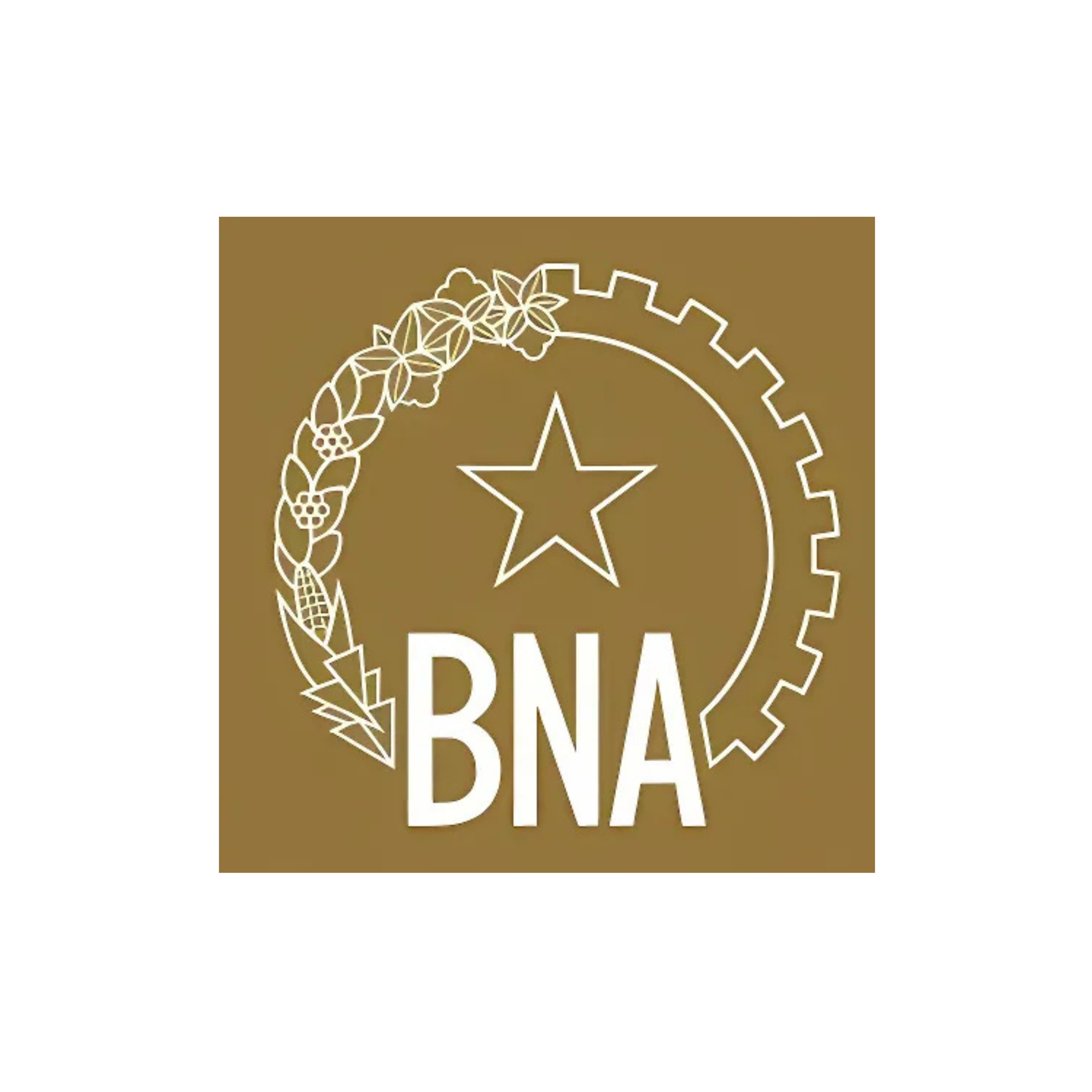 Sobre mim – Marco Victor